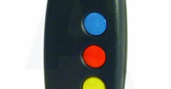 Sentry Remote Access