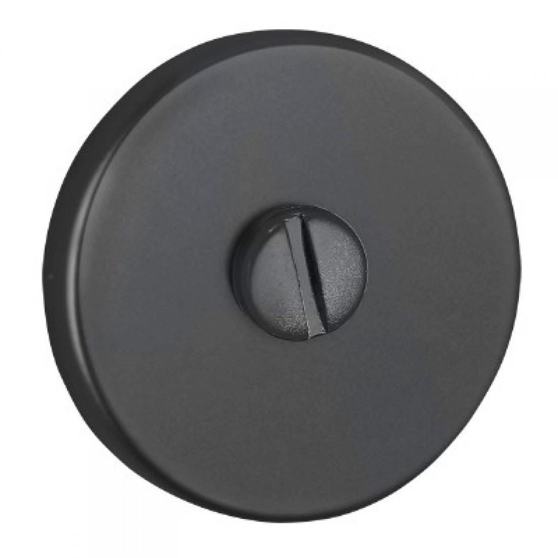 Urban Bathroom Turn Escutcheon