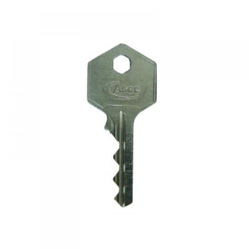 Asec Padlock Master Key