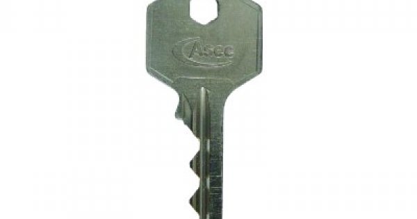 Asec Padlock Master Key