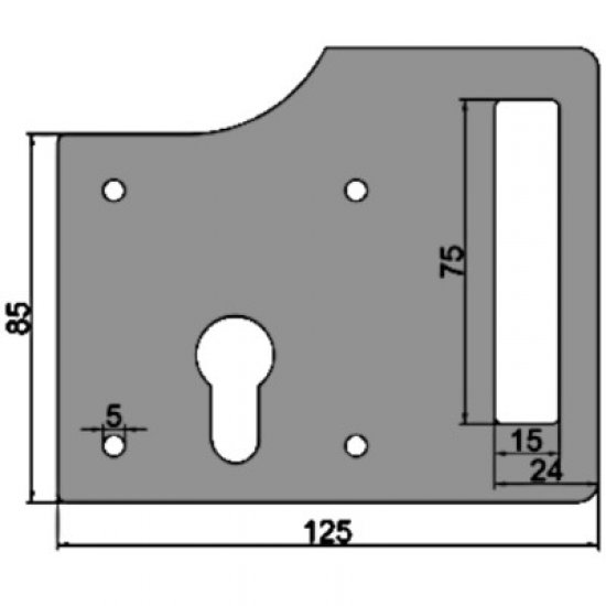 Gatemaster Slotted Lock Plate Screw Fixing