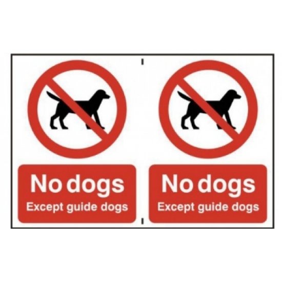 No Dogs Except Guide Dogs Sign